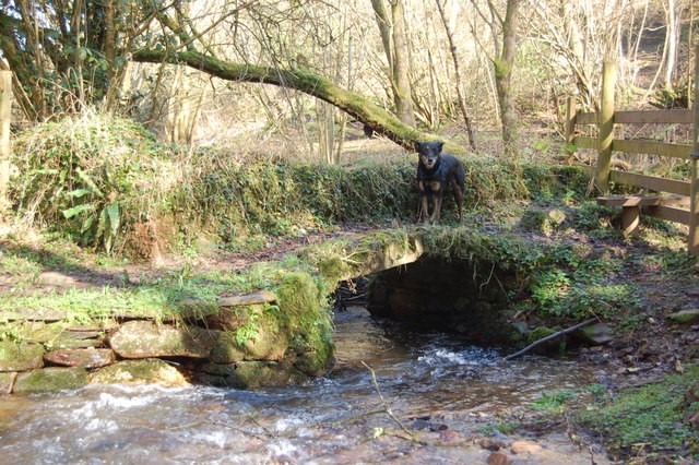 Clicket – Timberscombe